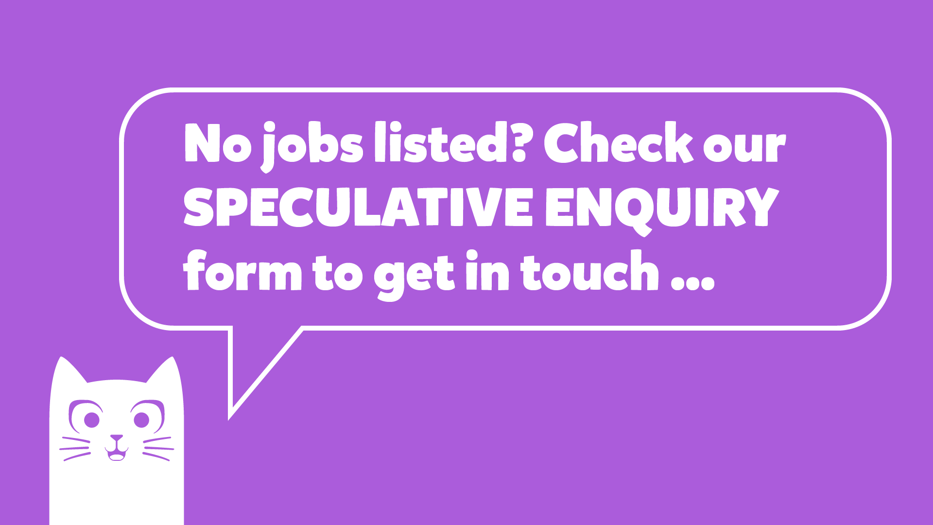 Cloth Cat Animation - Speculative Enquiry | Cloth Cat