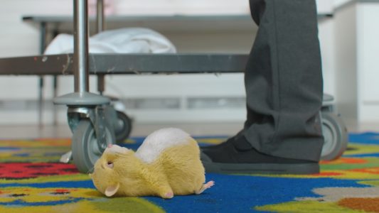 Annibendod | Cloth Cat