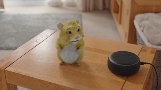 Annibendod | Cloth Cat